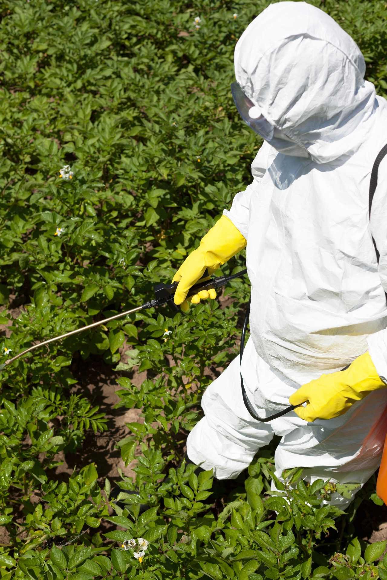 Glyphosate Approved for 10 More Years—But At What Cost?